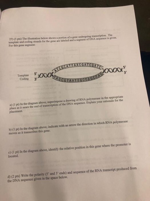 27) (5 pts) The illustration below shows a portion of | Chegg.com