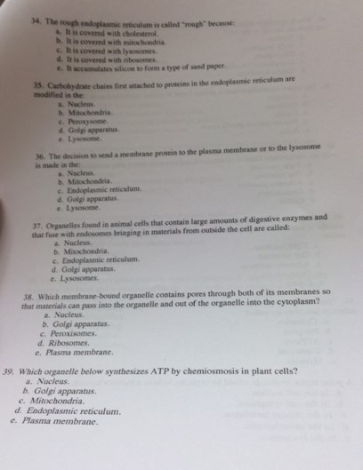 Solved 14. The rough endoplasmic reticulum is called rough | Chegg.com