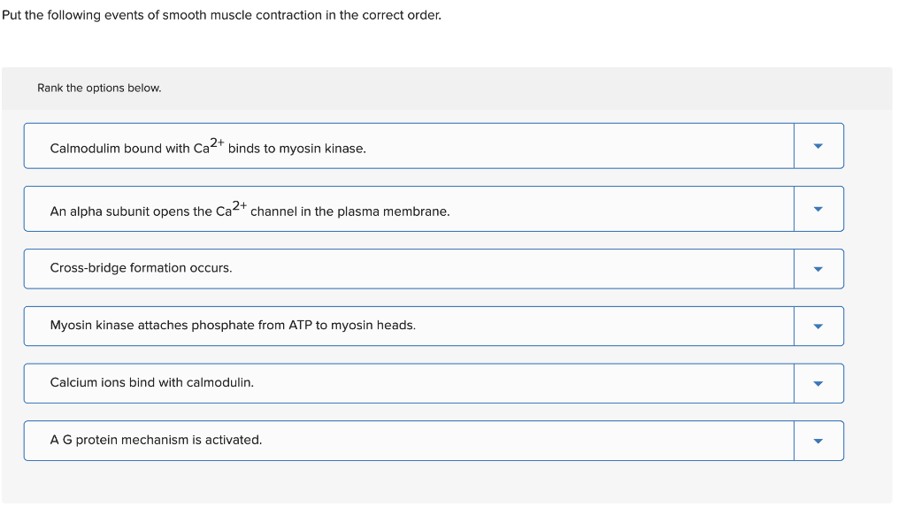 Solved Put the following events of smooth muscle contraction | Chegg.com