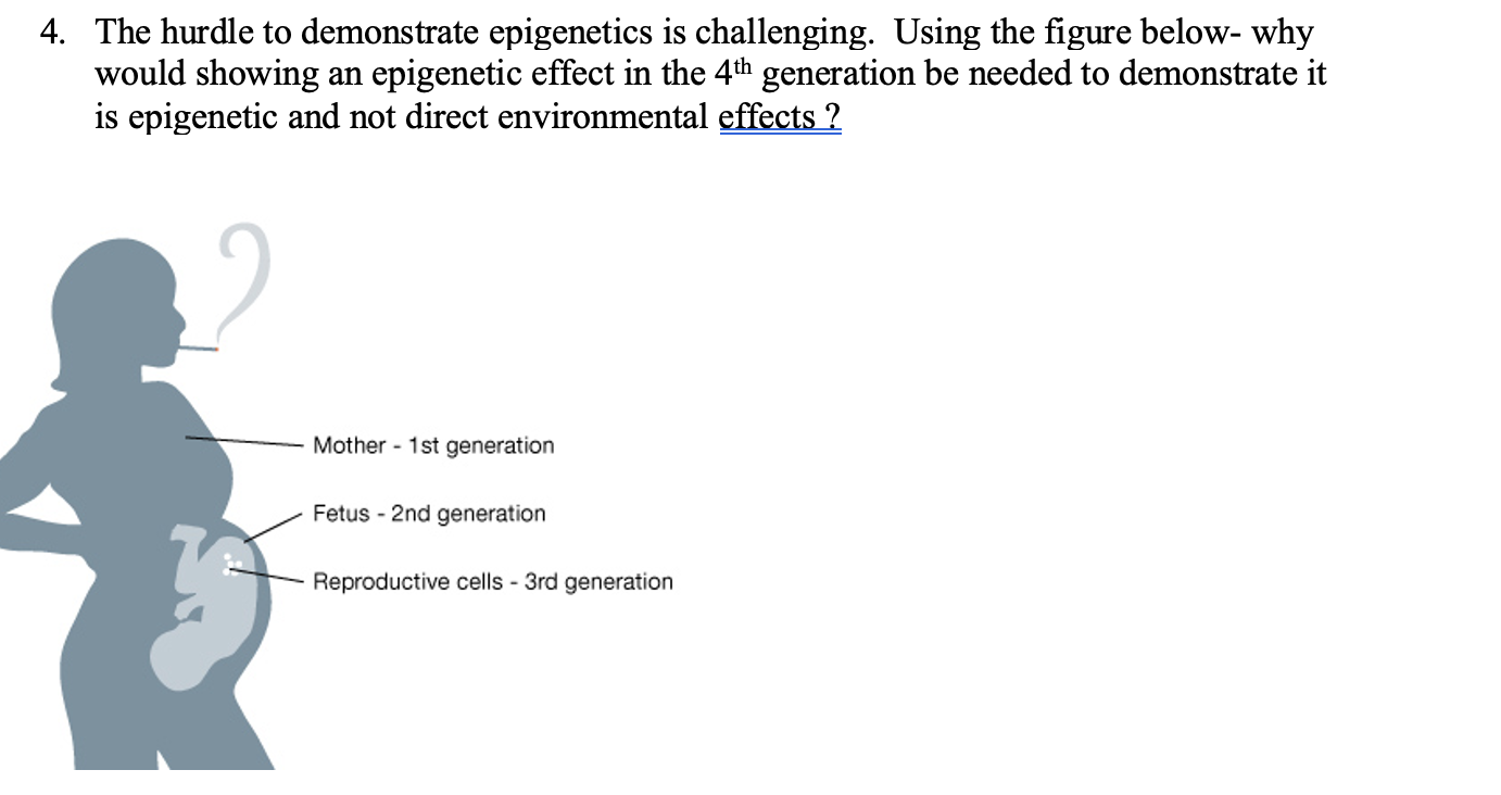 Solved 4. The hurdle to demonstrate epigenetics is | Chegg.com