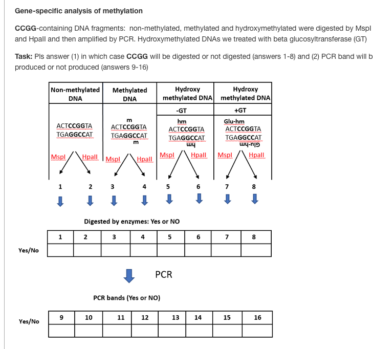 Gene-specific analysis of methylation CCGG-containing | Chegg.com