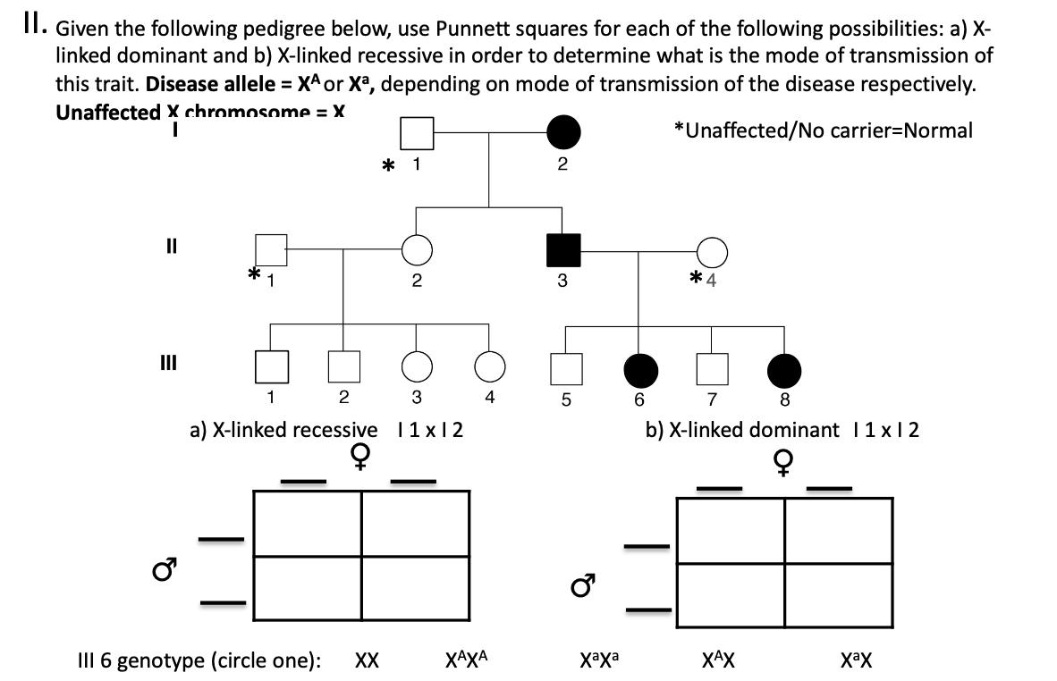 Solved I. Given the following pedigree below, use Punnett | Chegg.com