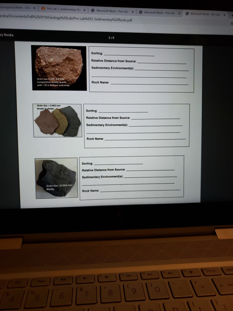Solved GeorgiaSouthern- Uni x Pre-Lab 3 Sedimentary Ro | Chegg.com