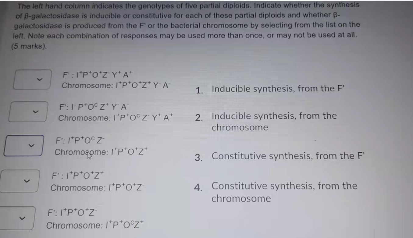 Solved The left hand column indicates the genotypes of five | Chegg.com
