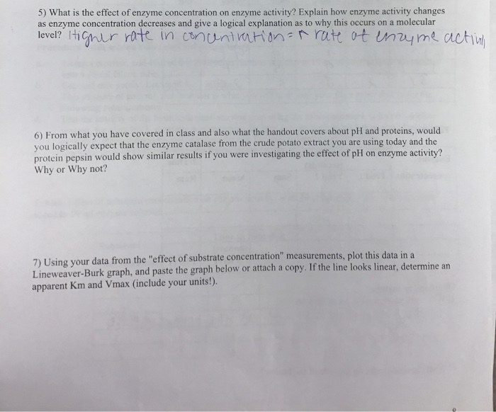 BCHE 341 Lab Lab 6 & 7: Potato Enzyme Kinetics: | Chegg.com