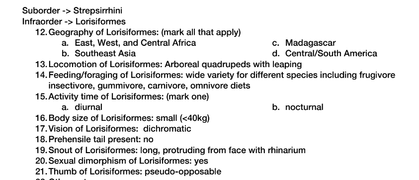 Solved Suborder −> Strepsirrhini Infraorder → Lorisiformes | Chegg.com