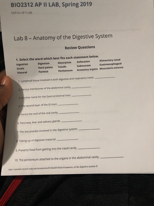 Solved BIO2312 AP II LAB, Spring 2019 OER for AP II LAB Lab | Chegg.com