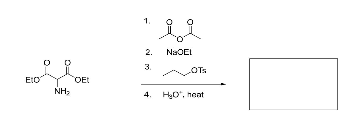 Solved 1. 2. NaOEt 3. OTS Eto OE NH2 4. H307, heat | Chegg.com