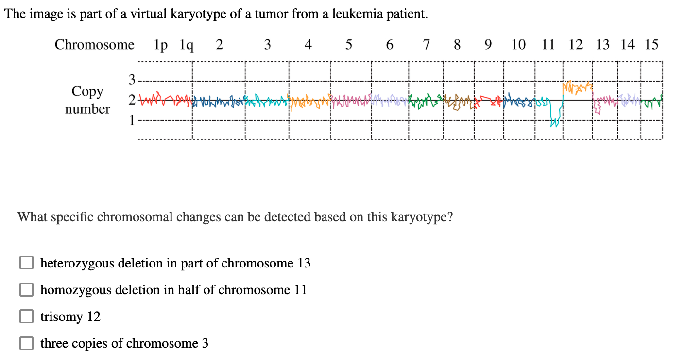 Solved The image is part of a virtual karyotype of a tumor | Chegg.com