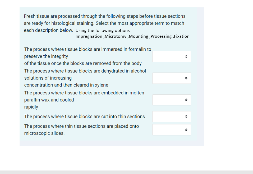 Solved Using the following options Impregnation , Microtomy | Chegg.com