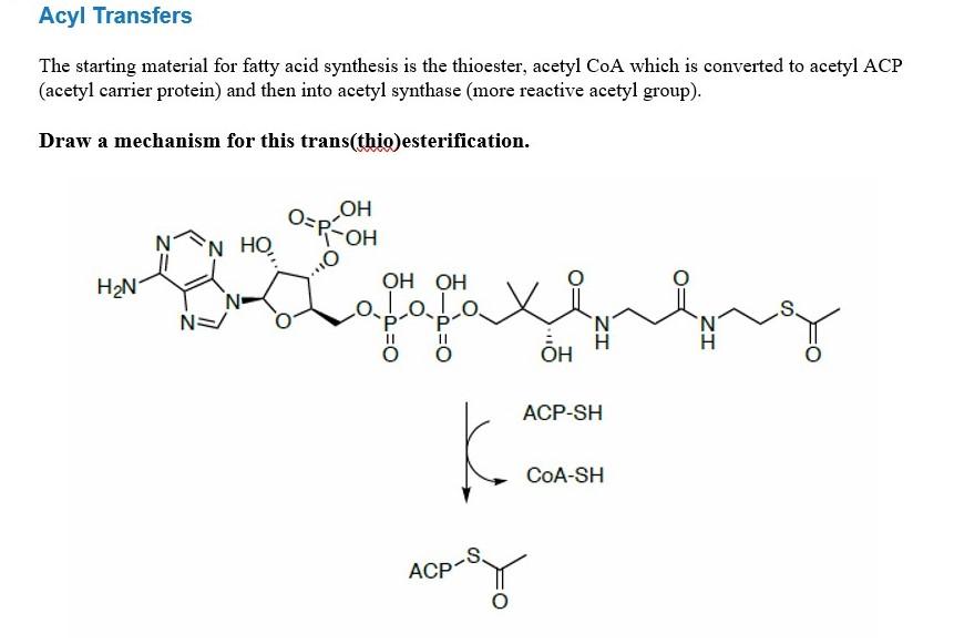 Acyl Transfers The starting material for fatty acid | Chegg.com