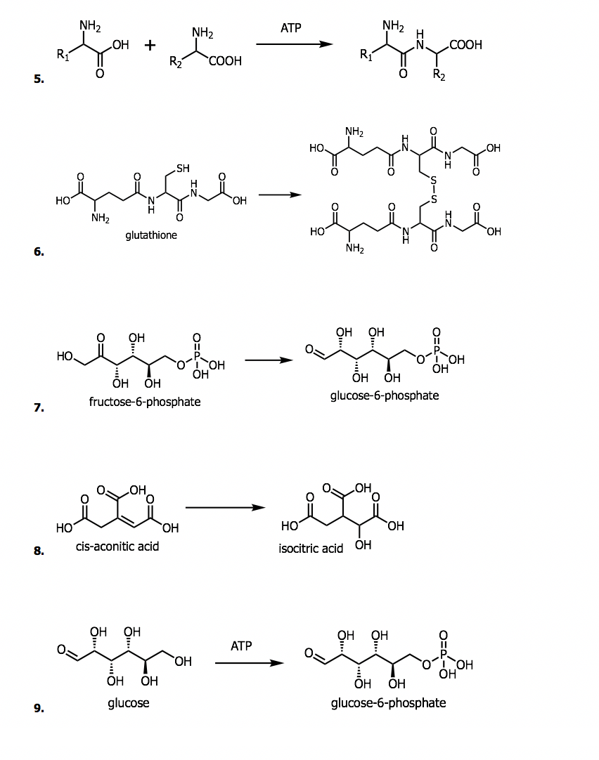 Solved Practice Problems Classify the enzymes that would do | Chegg.com
