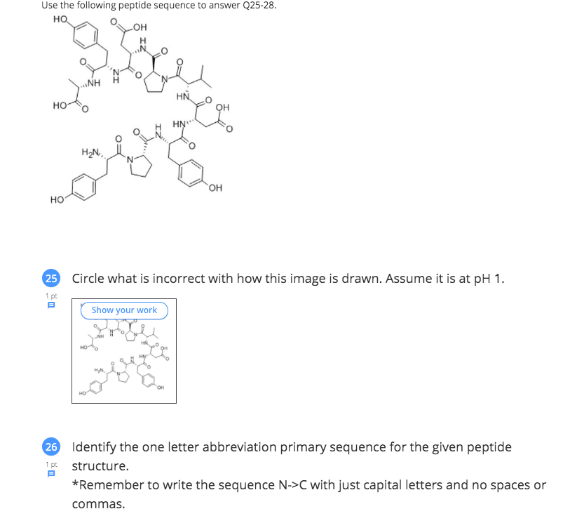 Solved 23 Consider the two backbone segments shown below | Chegg.com