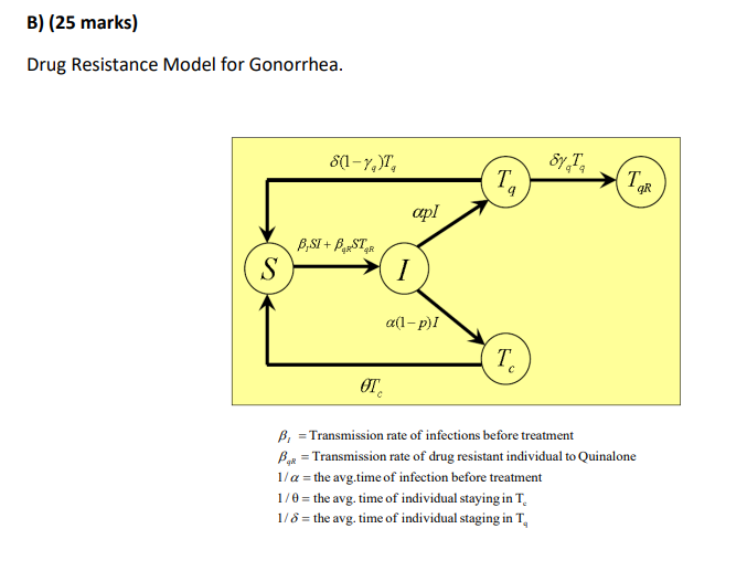 Drug Resistance Model for Gonorrhea. βl= Transmission | Chegg.com
