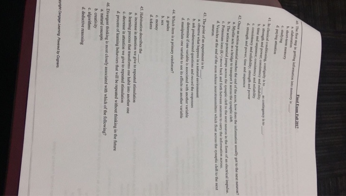 Solved The first step in getting information into memory is | Chegg.com