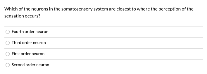 Solved Which of the neurons in the somatosensory system are | Chegg.com