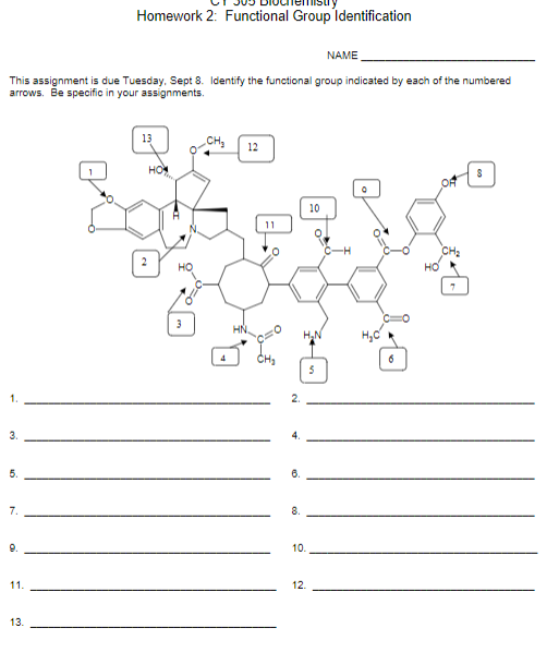 Solved Homework 2: Functional Group Identification NAME This | Chegg.com