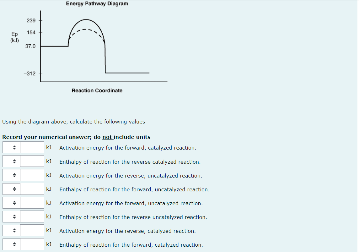 Solved Energy Pathway Diagram Using the diagram above, | Chegg.com