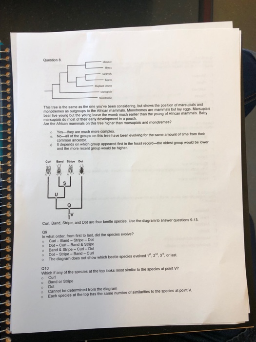 Solved Here is an assignment regarding phylogenetic trees. | Chegg.com