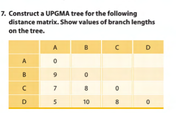 Solved Construct a UPGMA tree for the following distance | Chegg.com