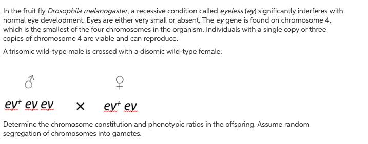 Solved In the fruit fly Drosophila melanogaster, a recessive | Chegg.com