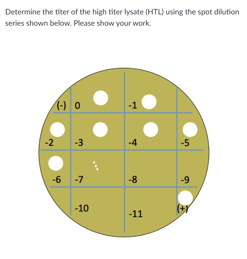 Solved Determine the titer of the high titer lysate ( HTL) | Chegg.com