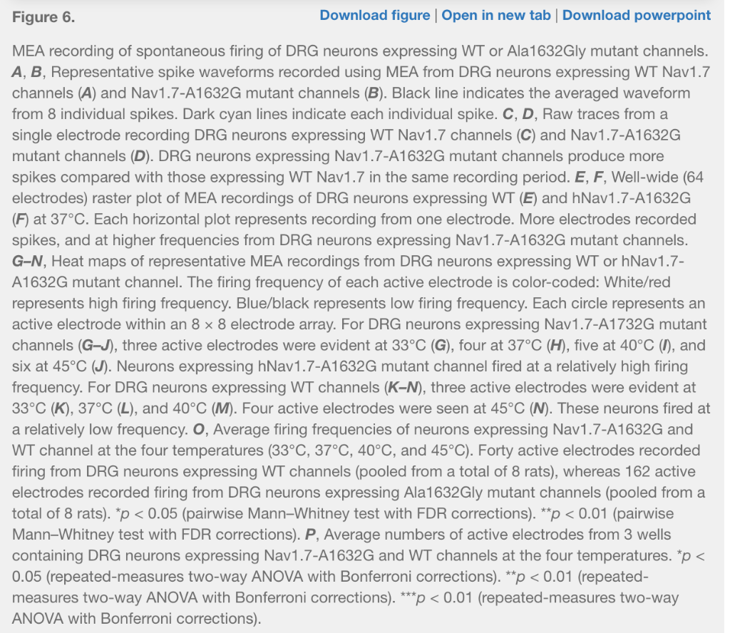Solved А E F Nav1.7 WT A16326 Nav1.7 WT Nav1.7 WT imov 2 sec | Chegg.com