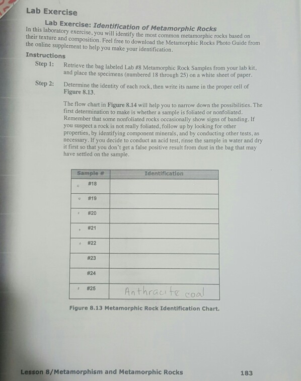 Solved Lab Exercise Lab Exercise: Identification of | Chegg.com