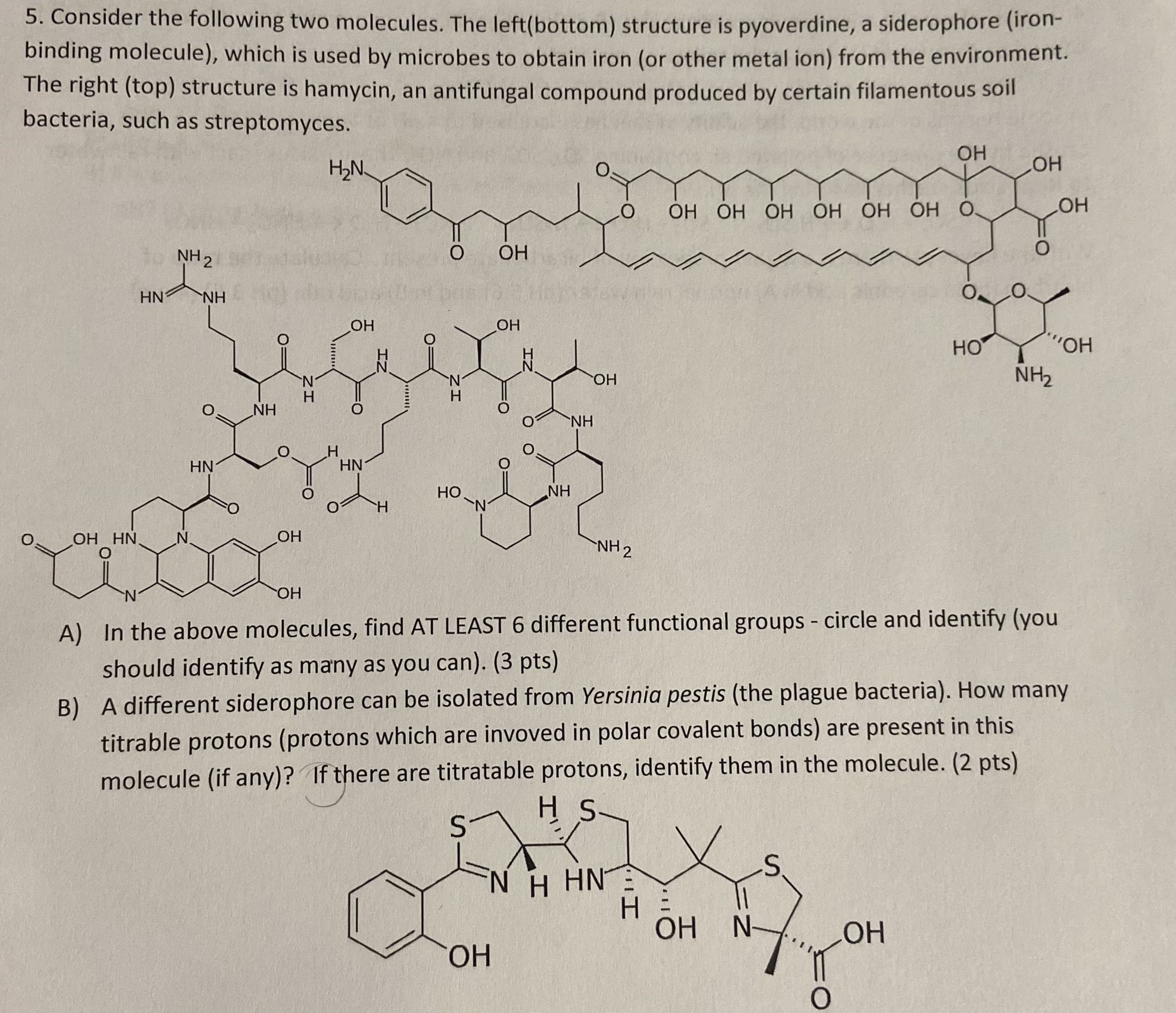 Solved Consider the following two molecules. The | Chegg.com