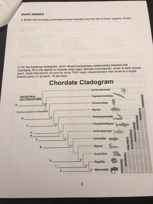Solved SHORT ANSWER 2. Briefly and concisely summarize human | Chegg.com