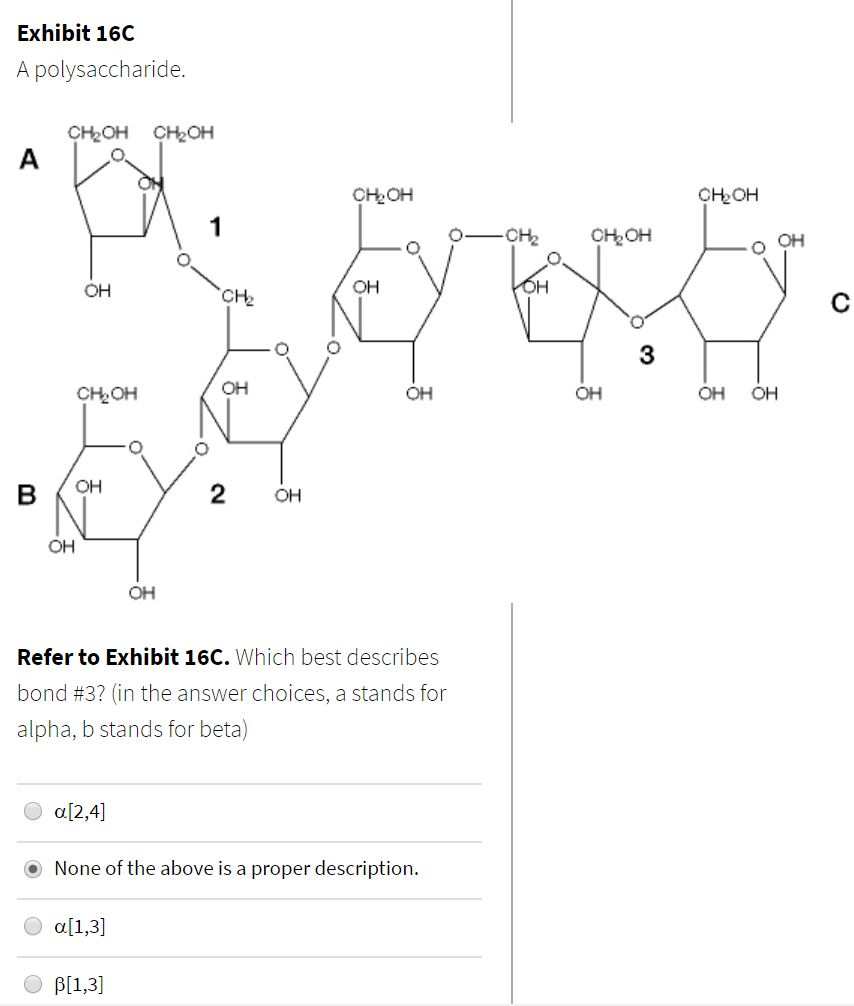 Solved Exhibit 16C A polysaccharide. CH20H CH2OH CH2OH CH2OH | Chegg.com