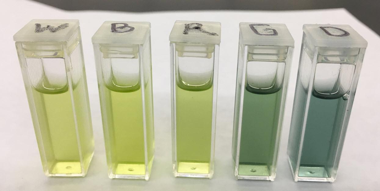 Solved Questions 1. Is there evidence that chloroplasts | Chegg.com