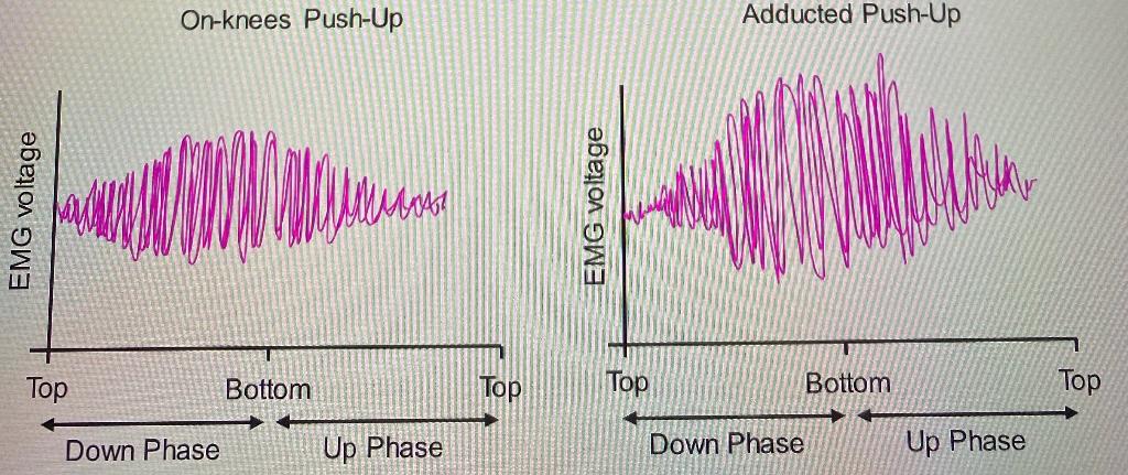 Solved 1) There are generally two bursts of triceps brachii | Chegg.com