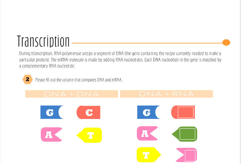 DNA is the blueprint of life. Your genetic code | Chegg.com