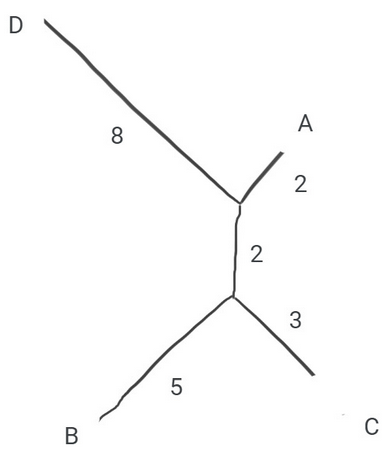 Solved Deduce which distance-based method was used to build | Chegg.com