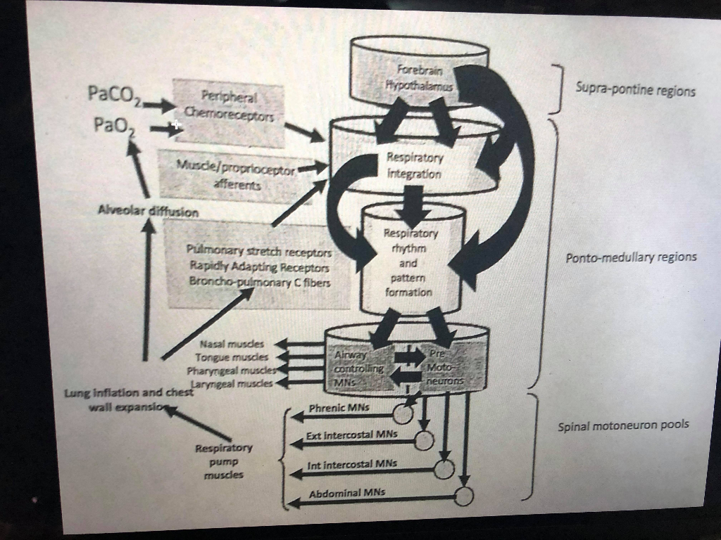 Solved Please indicate where specifically on the diagram are | Chegg.com