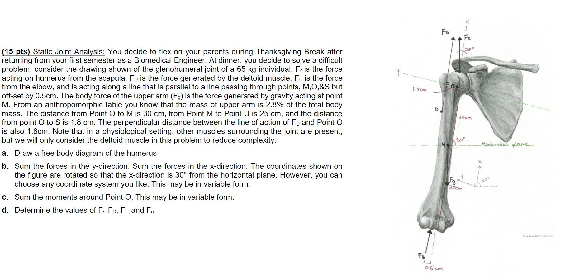Solved (15 pts) Static Joint Analysis: You decide to flex on | Chegg.com