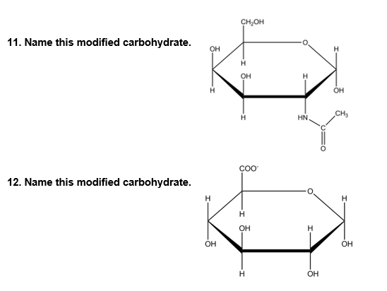 Solved Name these modified carbohydrates Need help with | Chegg.com