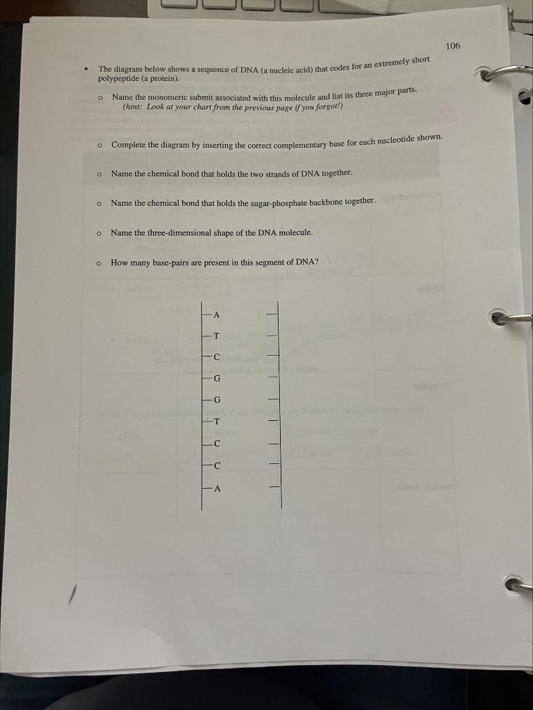 Solved - The diagram below shows a sequence of DNA (a | Chegg.com