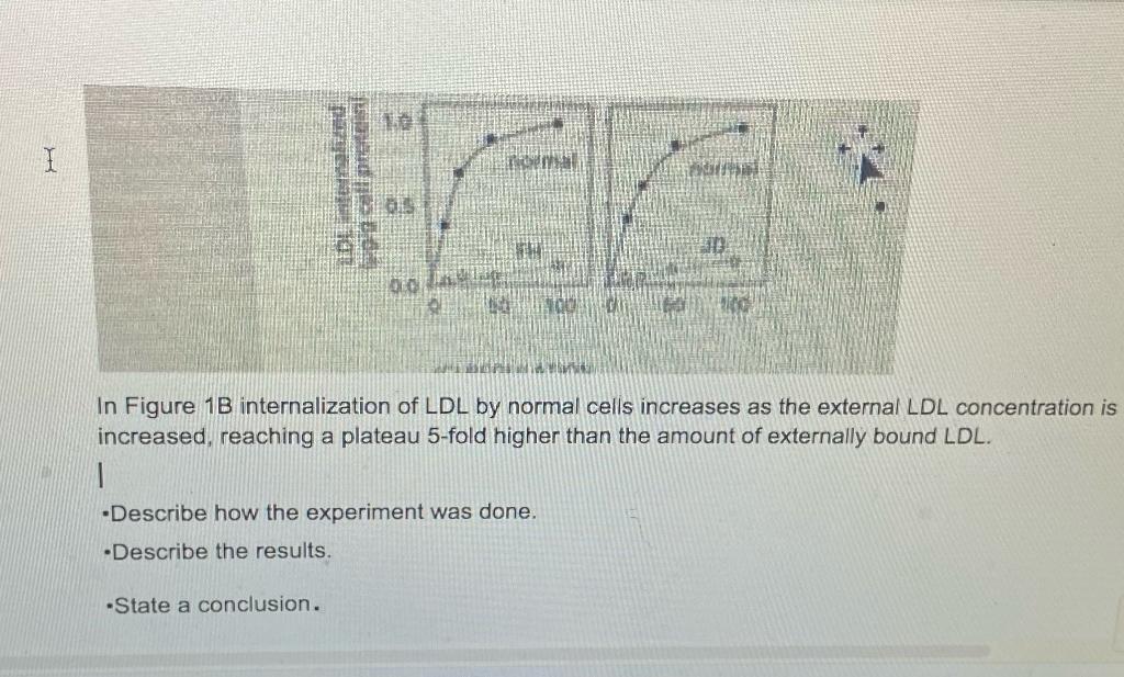 Solved 10 I Star 90 100 ch BUM In Figure 1B internalization | Chegg.com