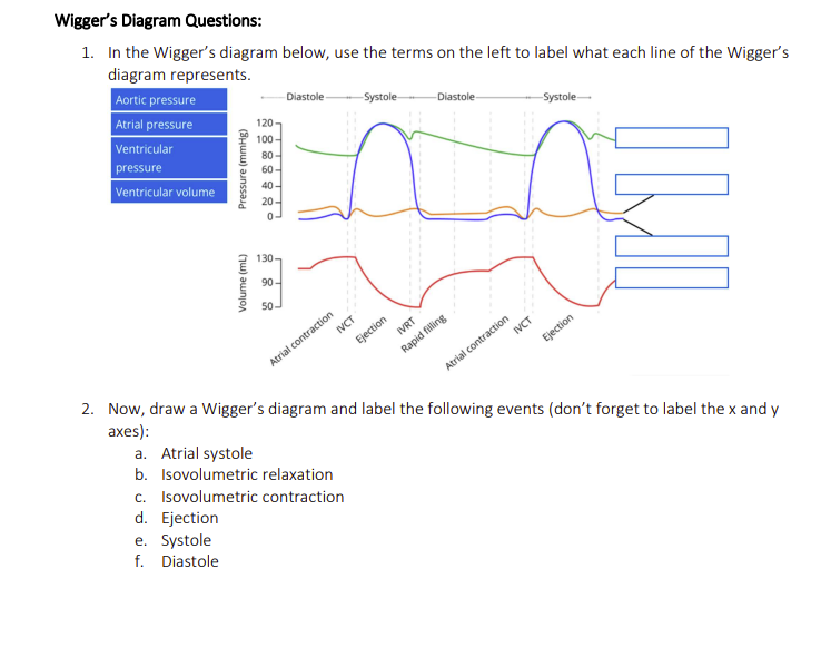 Solved 1. In the Wigger's diagram below, use the terms on | Chegg.com