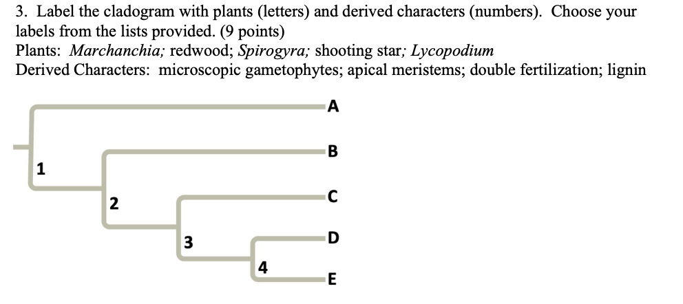 Solved 3. Label the cladogram with plants (letters) and | Chegg.com