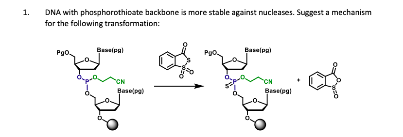 Solved 1. DNA with phosphorothioate backbone is more stable | Chegg.com