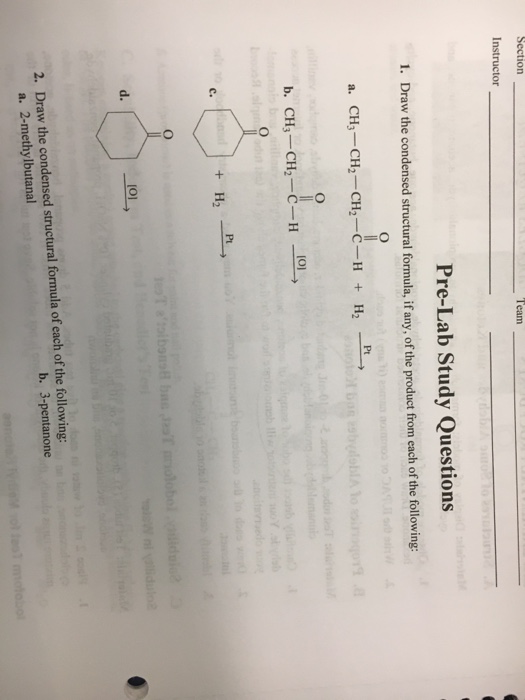 Solved Section Team Instructor Pre-Lab Study Questions 1. | Chegg.com