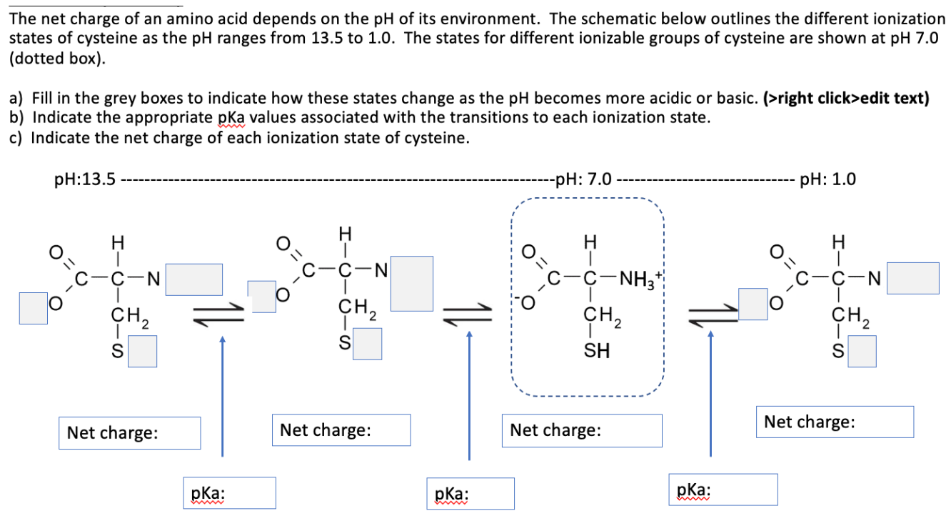 Solved The net charge of an amino acid depends on the pH of | Chegg.com