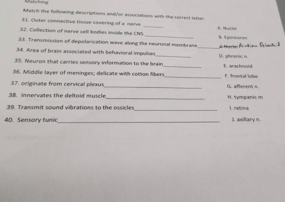 Solved Matching Match the following descriptions and/or | Chegg.com