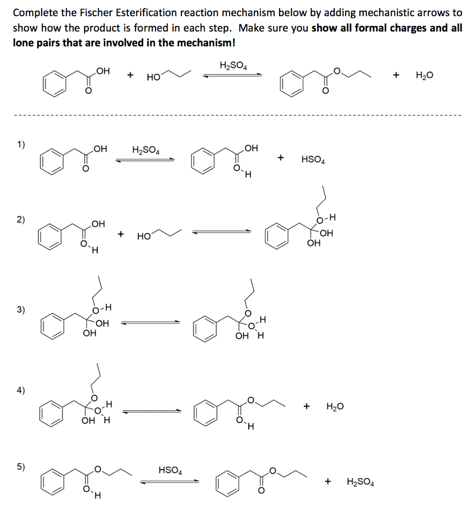 Solved Complete the Fischer Esterification reaction | Chegg.com
