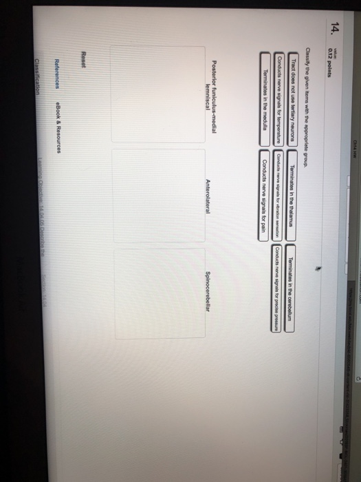 Solved Classify the given items with the appropriate group. | Chegg.com Solved Classify the given items with the appropriate group. | Chegg.com