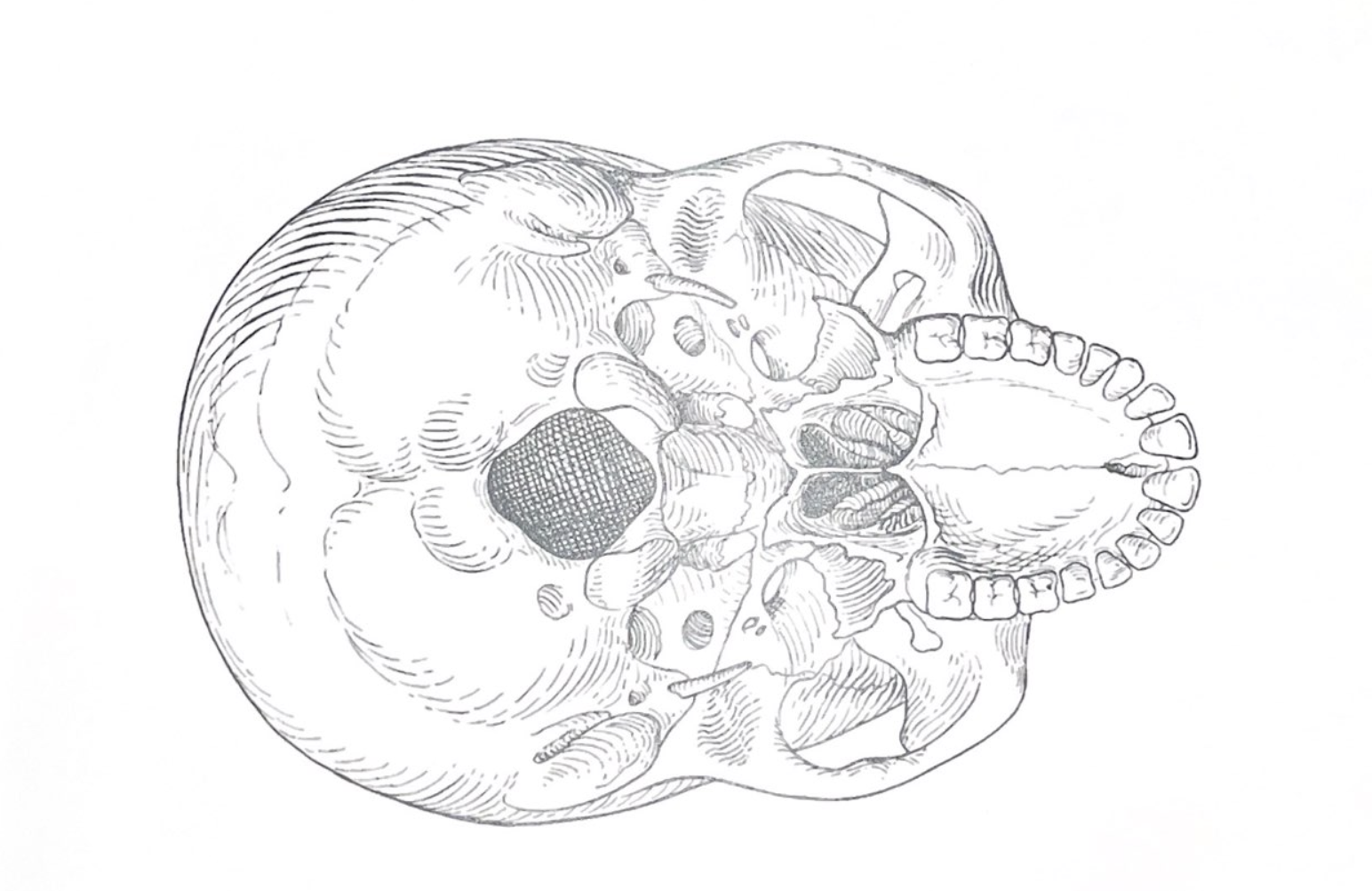 Solved Label this Axial Skeleton | Chegg.com Solved Label this Axial Skeleton | Chegg.com