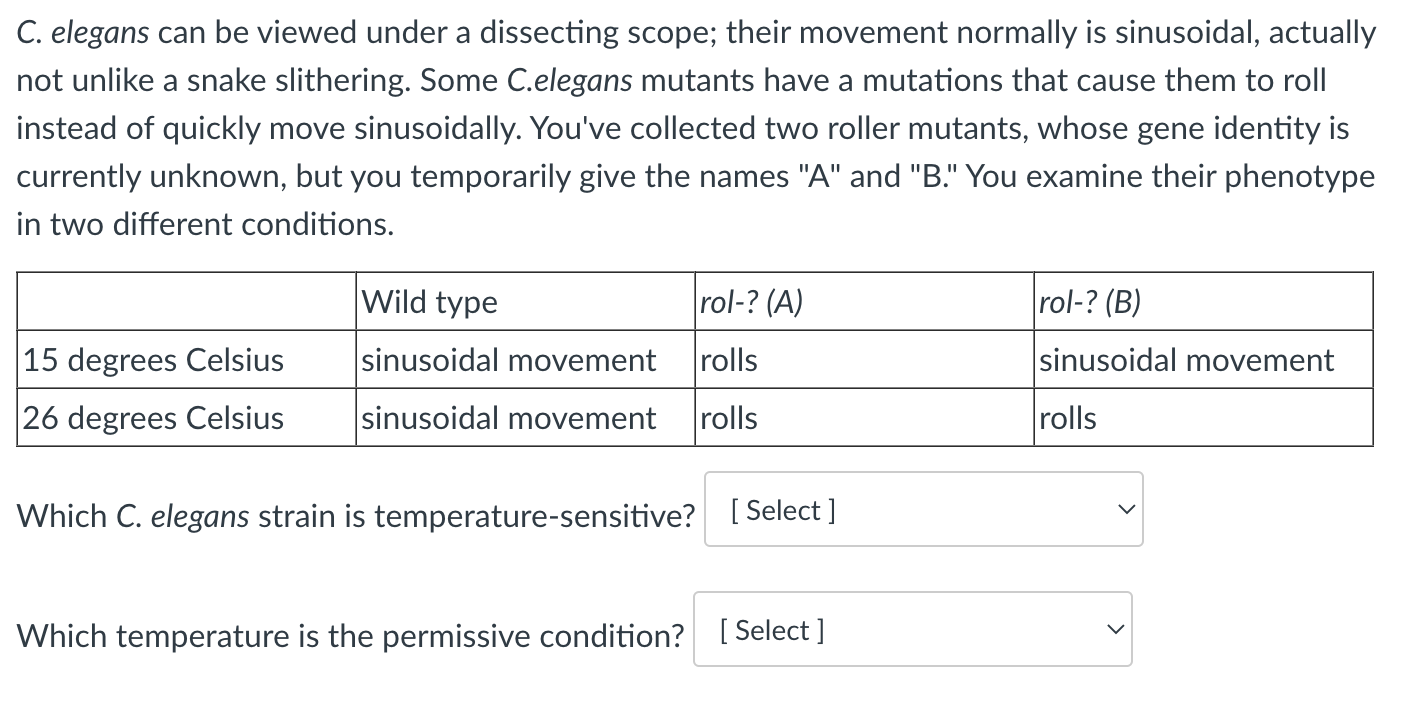 Solved C. elegans can be viewed under a dissecting scope; | Chegg.com